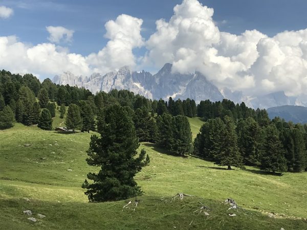 Malga Bocche: una finestra sulle Pale - Il Trentino dei Bambini
