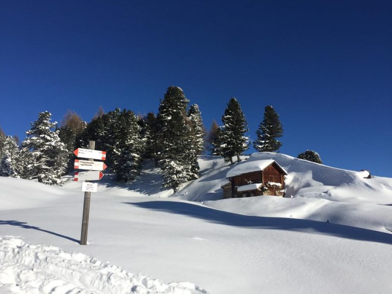 Che magia passeggiar a Malga Bocche! - Il Trentino dei Bambini