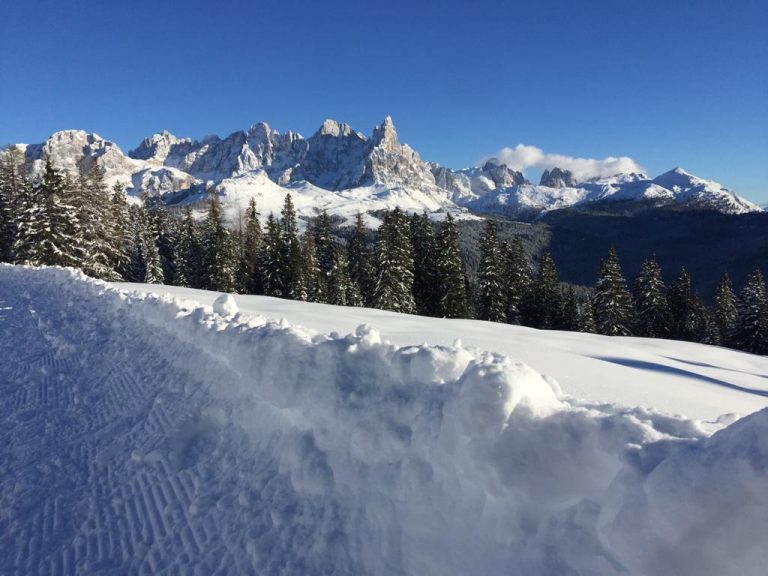 Che magia passeggiar a Malga Bocche! - Il Trentino dei Bambini