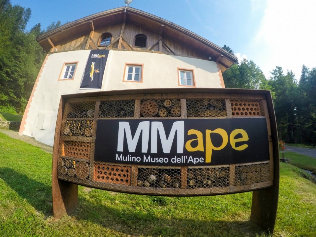 MMAPE – Mulino Museo dell’ape - Il Trentino dei Bambini