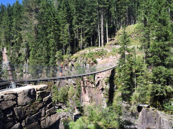 Cosa fare a Predazzo d’estate - Il Trentino dei Bambini