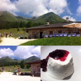 Alle malghe di Cloz, Revò e Kessel - Il Trentino dei Bambini