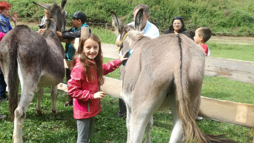 Al ranch degli asinelli: che meraviglia! - Il Trentino dei Bambini