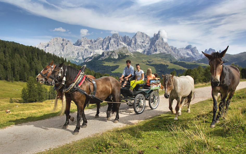 Malga Bocche: una finestra sulle Pale - Il Trentino dei Bambini