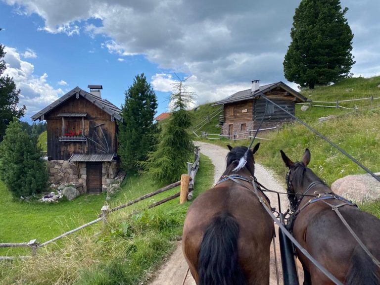 Malga Bocche: una finestra sulle Pale - Il Trentino dei Bambini