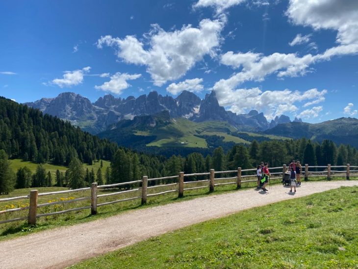 Malga Bocche: una finestra sulle Pale - Il Trentino dei Bambini