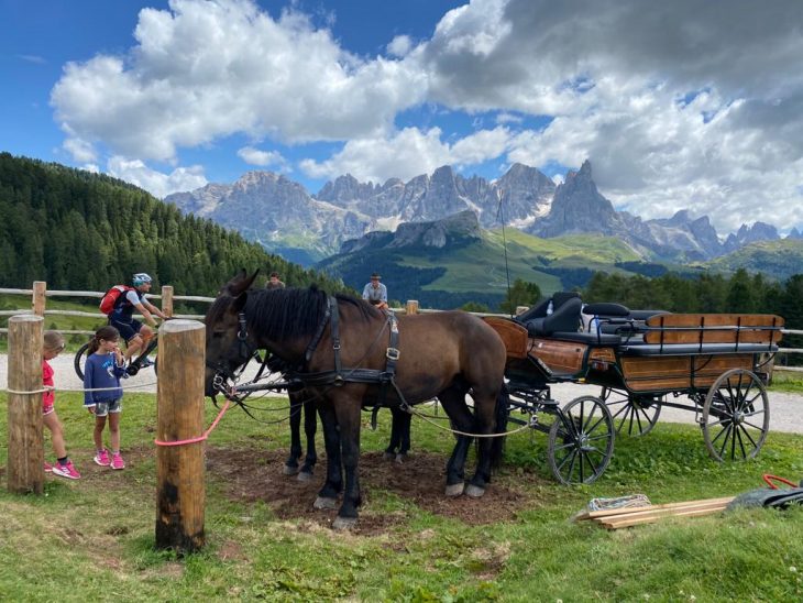 Malga Bocche: una finestra sulle Pale - Il Trentino dei Bambini