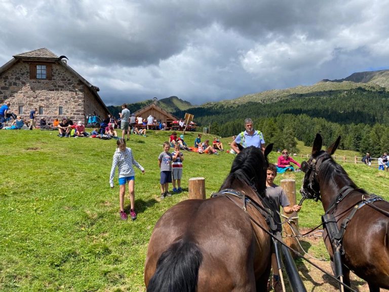 Malga Bocche: una finestra sulle Pale - Il Trentino dei Bambini