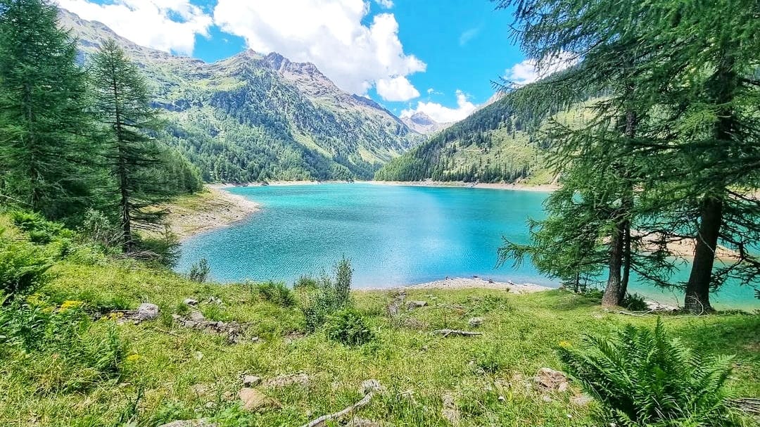 Lago di Pian Palù: acqua turchese - Il Trentino dei Bambini