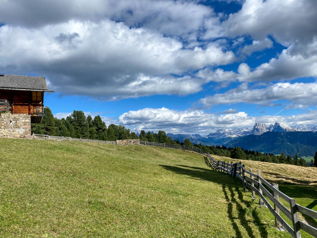 Sull’Alpe di Barbiano - Il Trentino dei Bambini