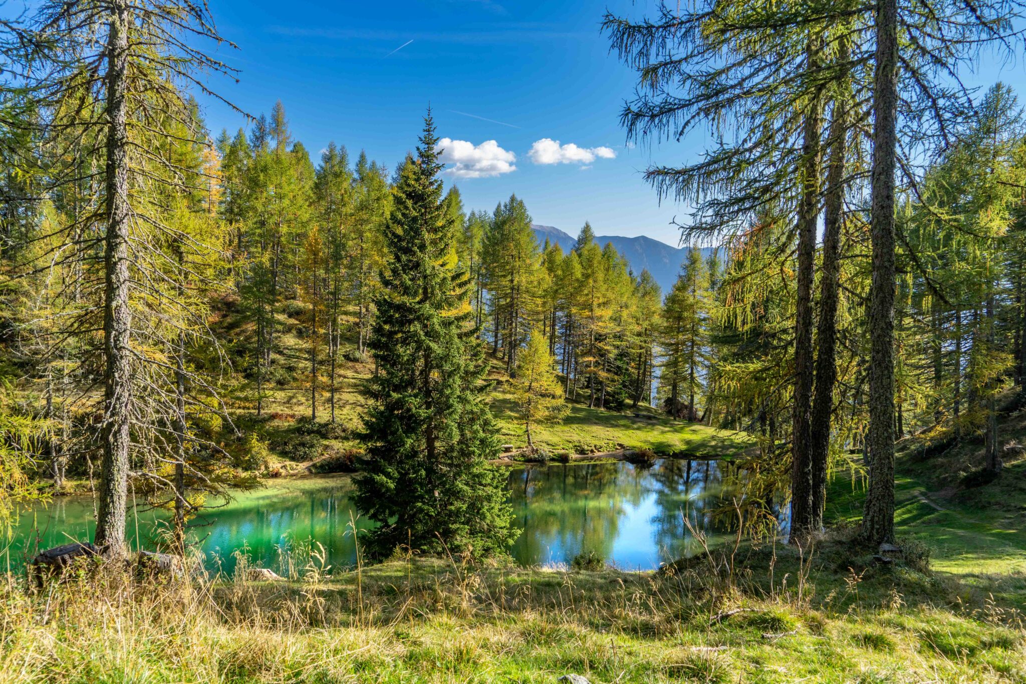 Lago delle Prese: che incanto! - Il Trentino dei Bambini