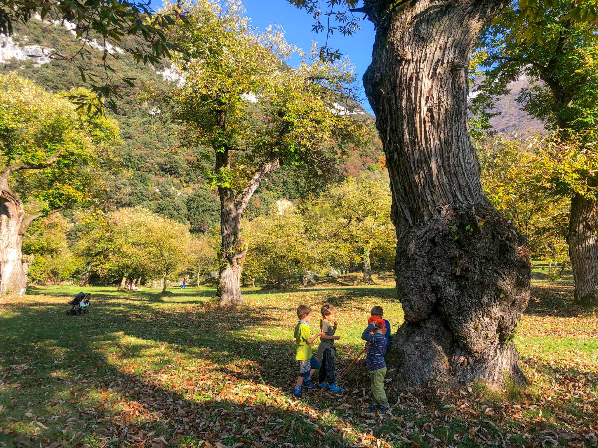 Maroni in Festa a Drena - Il Trentino dei Bambini