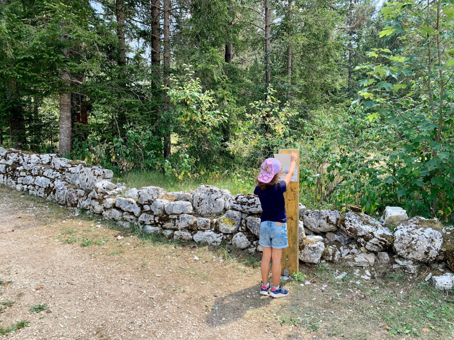 4 salti nel bosco in Alpe Cimbra - Il Trentino dei Bambini