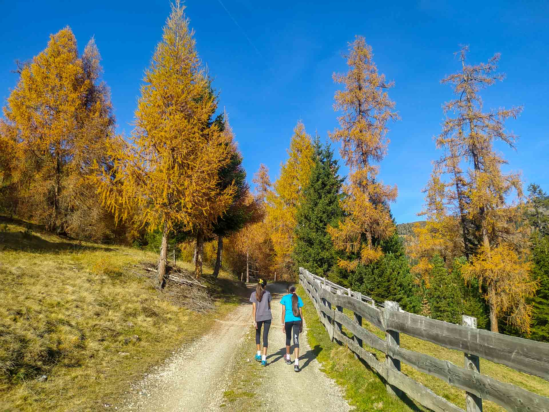Munt da Rina, colori d’autunno - Il Trentino dei Bambini