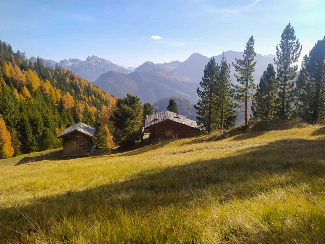 Munt da Rina, colori d’autunno - Il Trentino dei Bambini