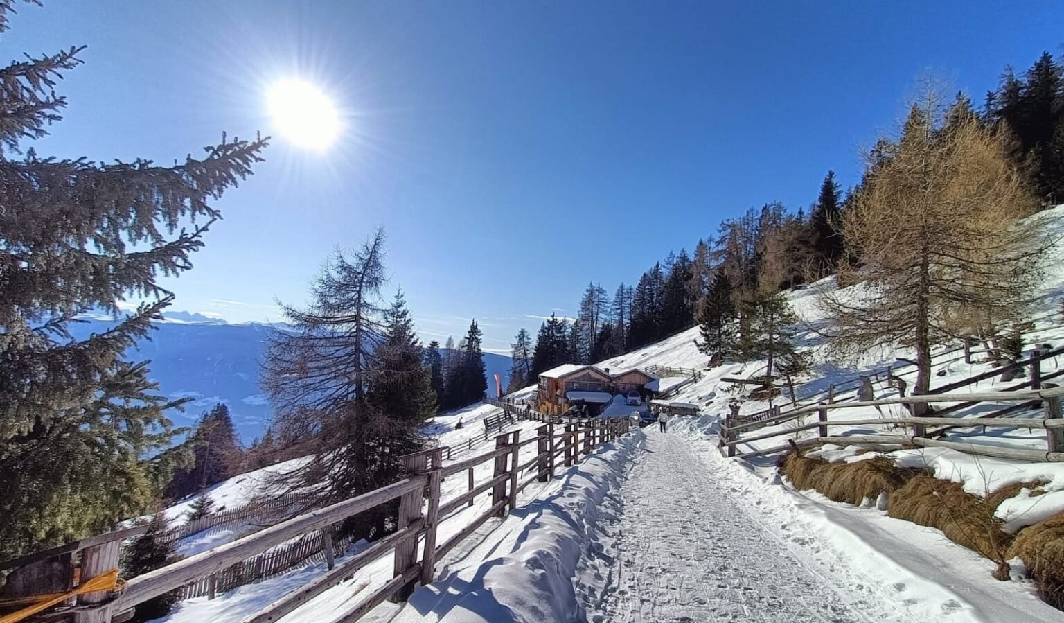 Con la slitta alla Moarhofalm - Il Trentino dei Bambini