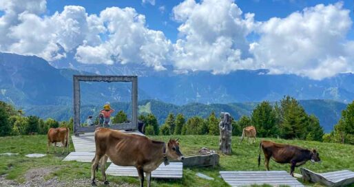 Al Rifugio Filzi sul Finonchio - Il Trentino dei Bambini