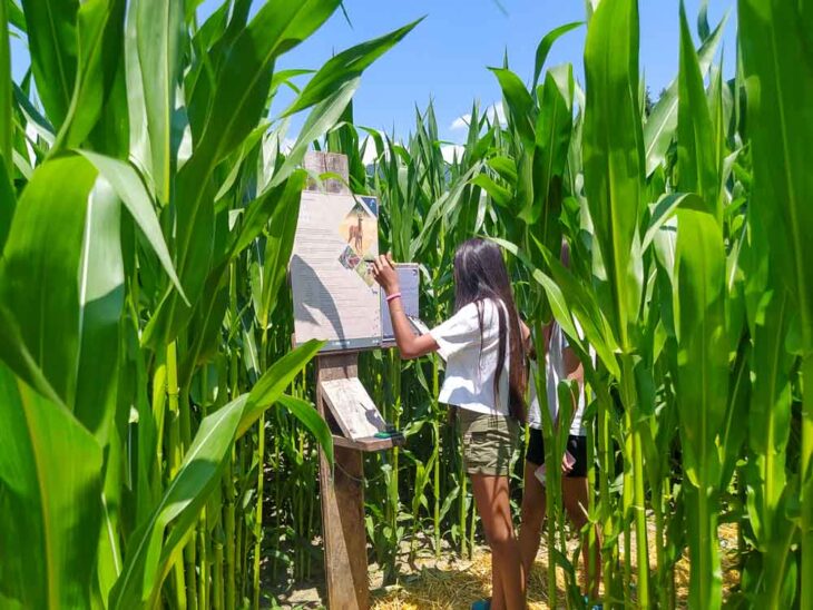 Labirinti da non… perdersi! - Il Trentino dei Bambini
