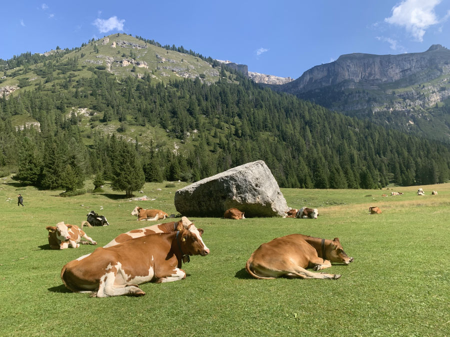 Val Gardena: escursione wow a Vallunga - Il Trentino dei Bambini