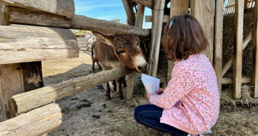 Al Rifugio Filzi sul Finonchio - Il Trentino dei Bambini