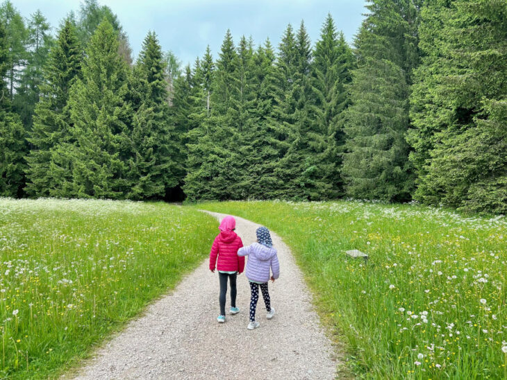 Il Biotopo di Echen - Il Trentino dei Bambini