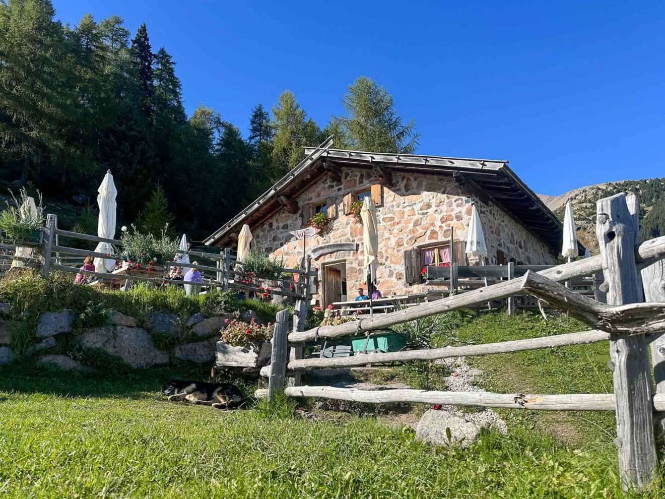 Da Passo Palade a Malga Monte Luco - Il Trentino dei Bambini