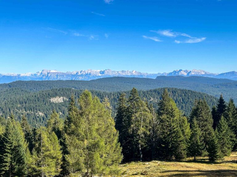Da Passo Palade a Malga Monte Luco - Il Trentino dei Bambini